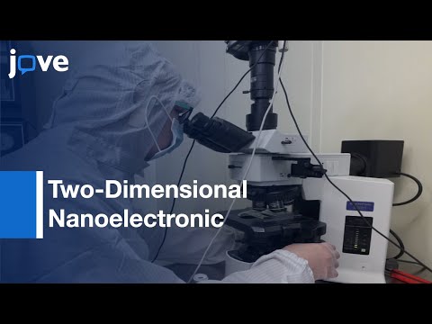 Two-Dimensional Nanoelectronics Fabrication | Protocol Preview