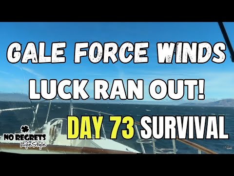 Day 73: This Is It! Gale Force Winds Hit Hard — Our Luck’s Out, Can We Survive?! 😂