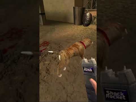 Dog makes me look bad #gaming #postal #gameplay #crazy #satire #youtuber #memes #funny #dog