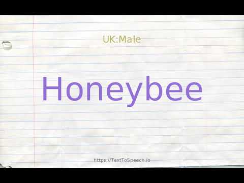 How to pronounce honeybee