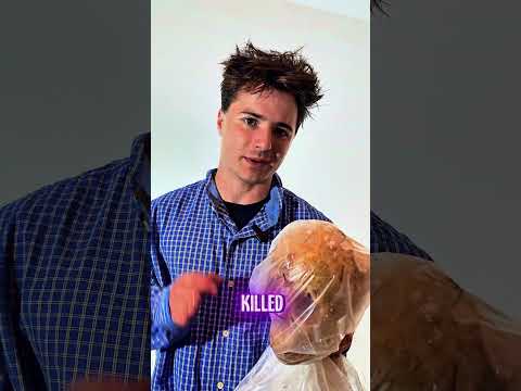 Dexter Original Sins Finale (Prediction) - The Ice Truck Killer (Brian Moser) killed Harry Morgan