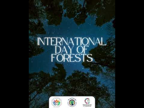 NCEL Celebrates the Lungs of Our Planet #internationaldayofforests