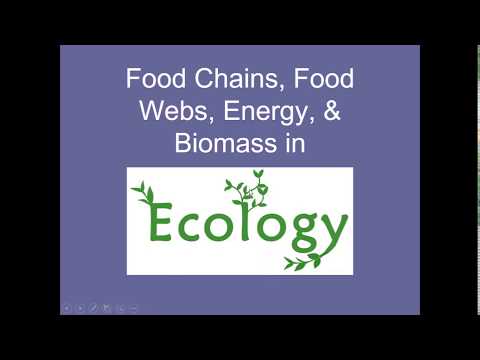 PPT Food Chains, Food Webs, Energy & Biomass