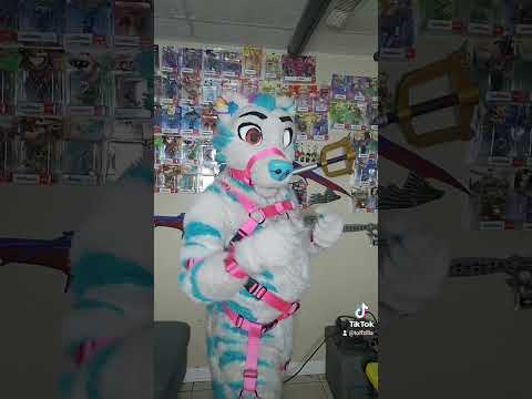 Im a tolf meaning tigerwolf! #furry #tiktok #furryfandom #tigerwolf #gay #lgbtqia