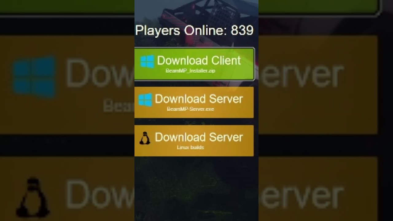 How to install beamng drive multiplayer