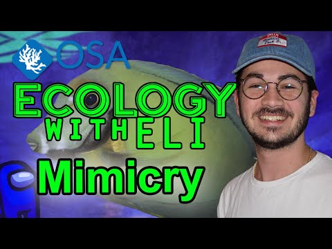 Mimicry | Ecology with Eli