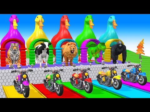 Long Slide Game With Cow Gorilla Lion T-Rex Tiger- 3d Animal Game - Funny 3d Animals