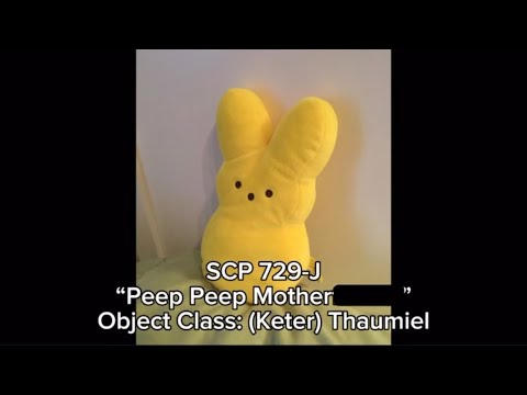 Reading the SCPwiki page of SCP 729-J (Updated as of 2024)