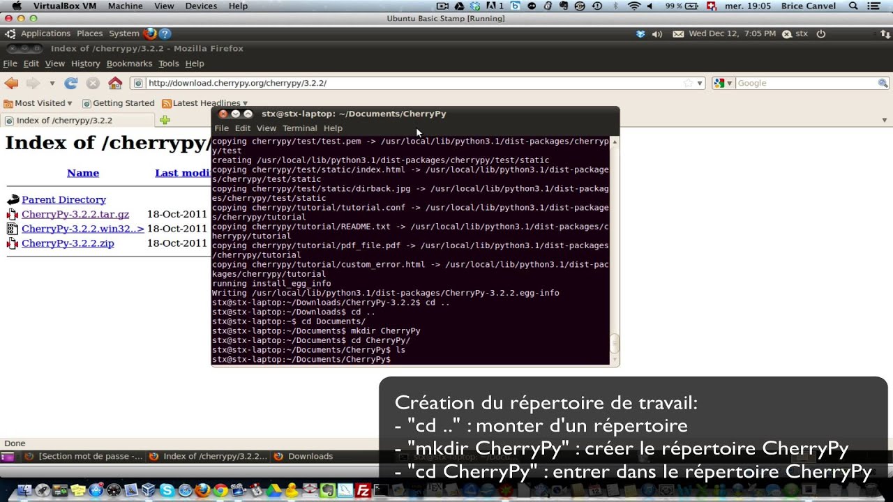 CherryPy_install