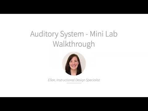 Lt Human Physiology Walkthrough | Auditory System Mini Lab