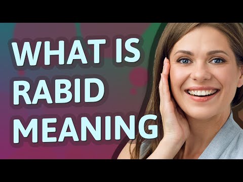 Rabid | meaning of Rabid