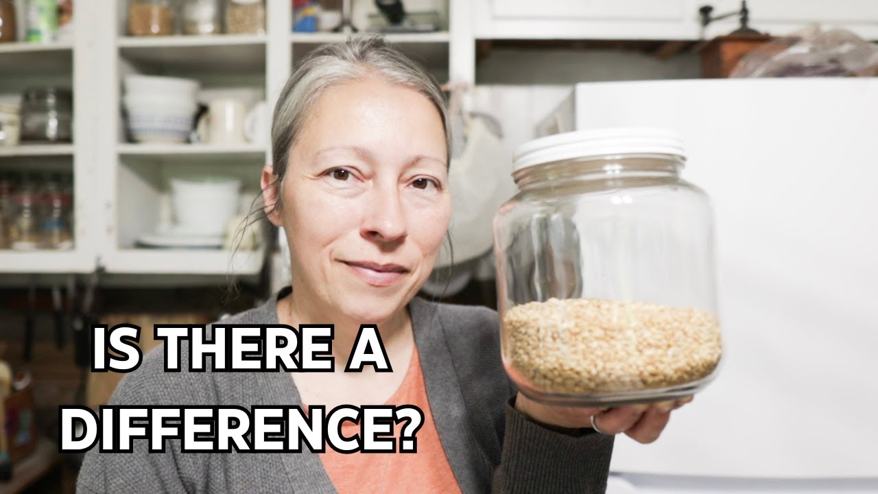 Spring wheat, Winter wheat | What's the difference? Plus, my grain mill recommendation