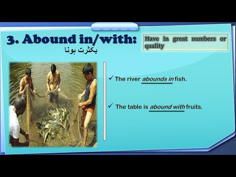 Abound in or with | Idiom: abound in/with