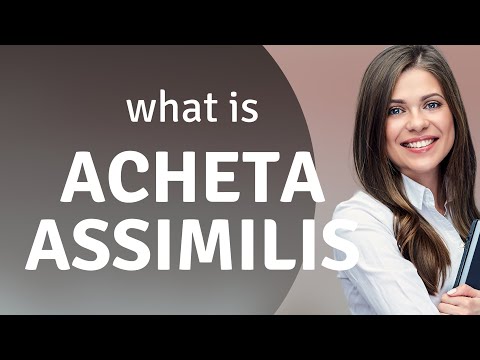 Acheta assimilis | meaning of ACHETA ASSIMILIS