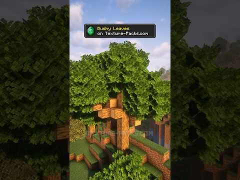 Minecraft Best Texture Packs