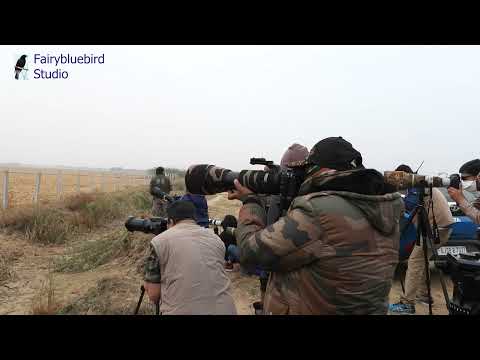 On The Verge of Nalsarovar - Part -1