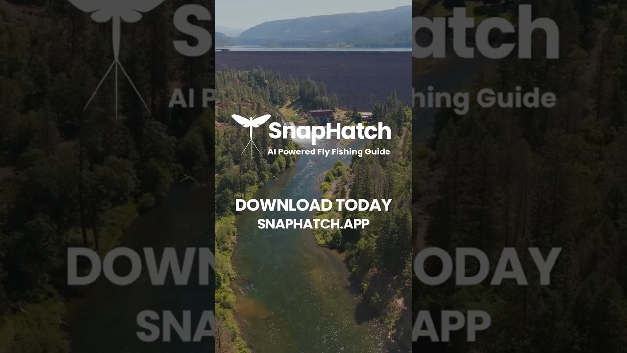 SnapHatch App - AI Powered Fly Fishing Guide