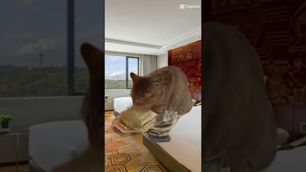 when cat mee templates go to far