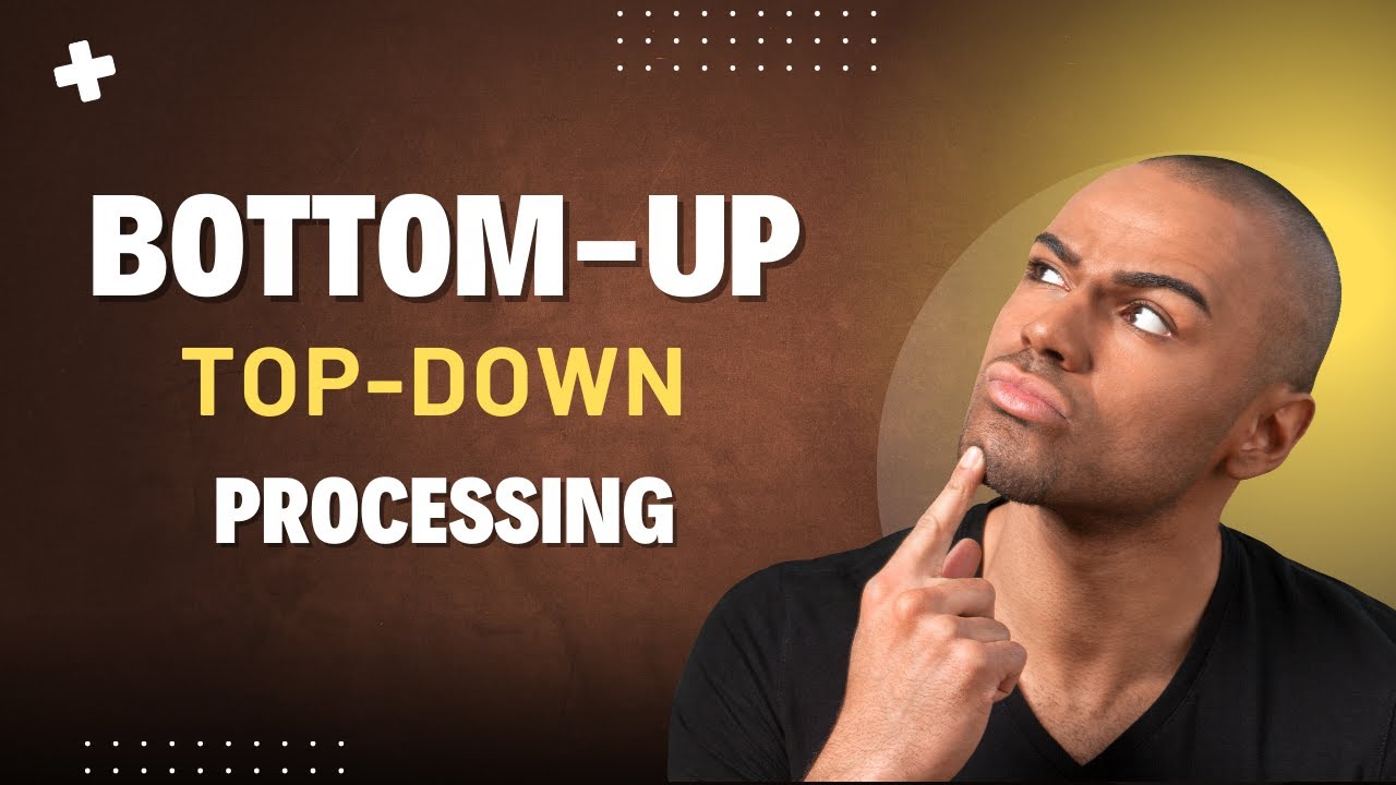 Bottom-Up vs. Top-Down Processing | Psychology Explained
