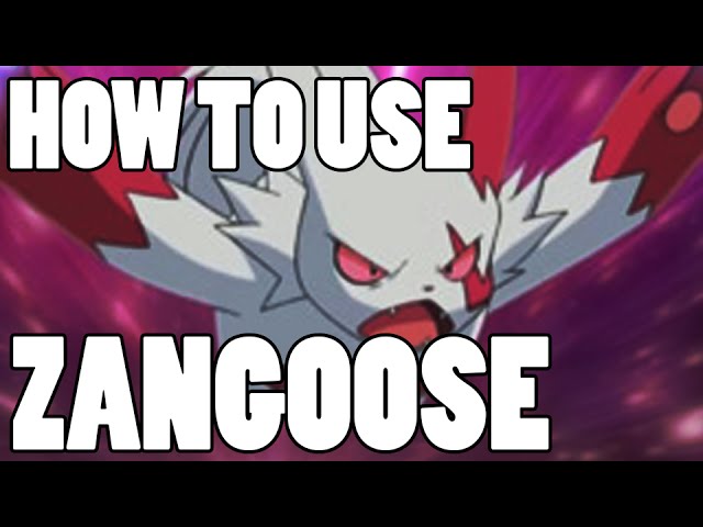 Zangoose Pokémon: How to Catch, Moves, Pokedex & More