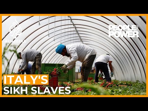 Italy's Sikh Slaves | People and Power