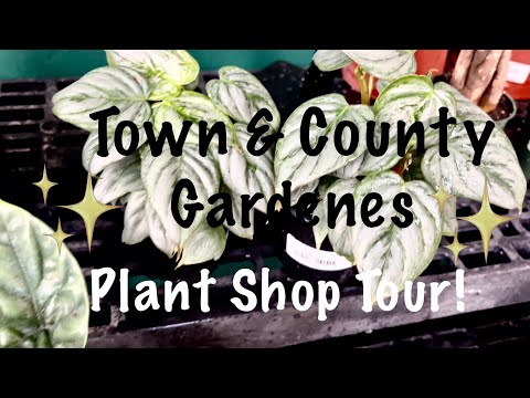 Plant shop Tour of Town & Country Gardens. Lots to see and chill vibes.