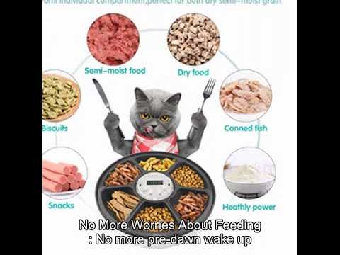 Chintu Automatic Cat Feeder with Timer - 6 Meals Automatic Dog Feeder Food Dispenser