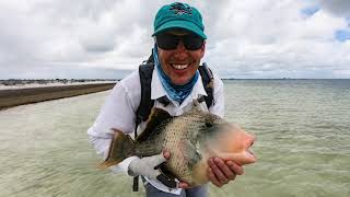 Tabwakea Fish Market: 10 Things to Do in Tabwakea, Kiribati | Gems.Travel