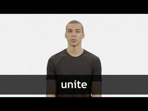 UNITE definition and meaning | Collins English Dictionary
