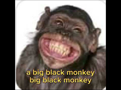 Big Black Monkey - Lyric Video