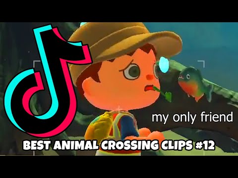 Cutest Animal Crossing New Horizons tiktok memes that make you protest #12