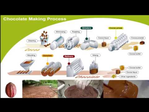 Chocolate Manufacturing Process – Saif Dewan's Blog