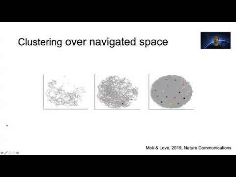 A multi-level model of hippocampal function from behaviour to neurons - Rob Mok