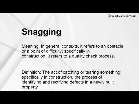 Snagging Meaning