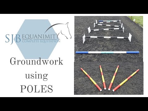 GROUNDWORK with POLEWORK. Exercises to help strengthen your horse | SJB Equanimity