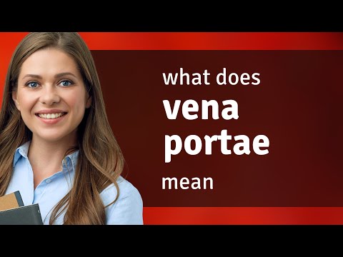 Vena portae • meaning of VENA PORTAE