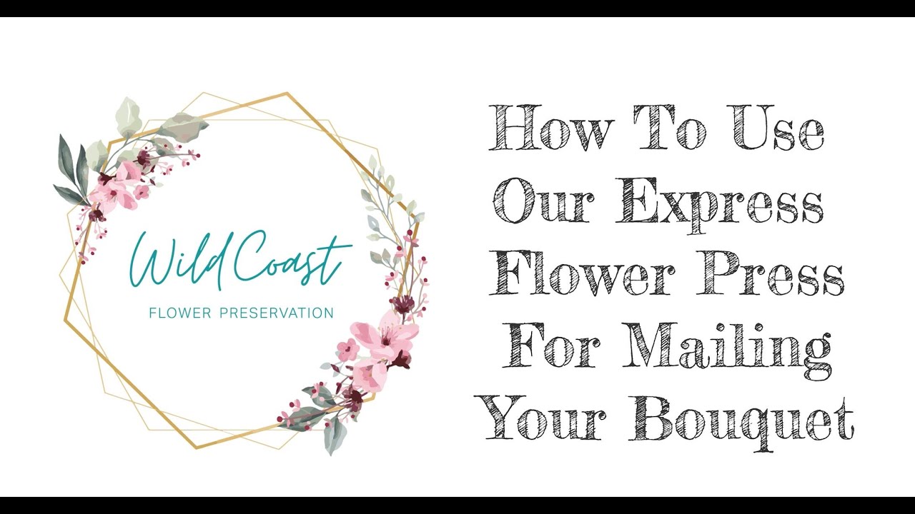 Quick-Dry Flower Press Kit, Express Press Tutorial from Wild Coast Flower Preservation