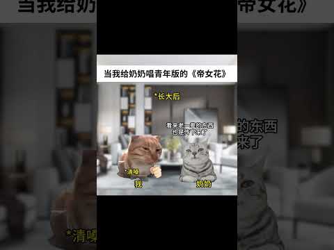 #貓meme小劇場 #貓meme #funny #搞笑 #小故事 #cat #cute #memes
