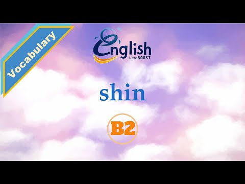 Shin - Meaning, Pronunciation, & Examples | B2 | Learn English Vocabulary