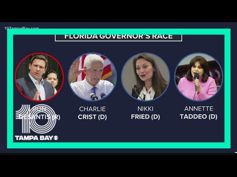 Who is Florida gubernatorial candidate Annette Taddeo?