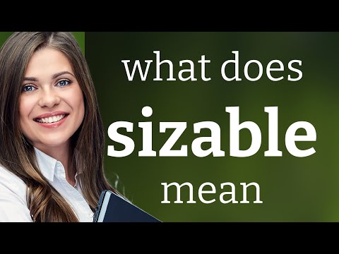 Sizable • definition of SIZABLE