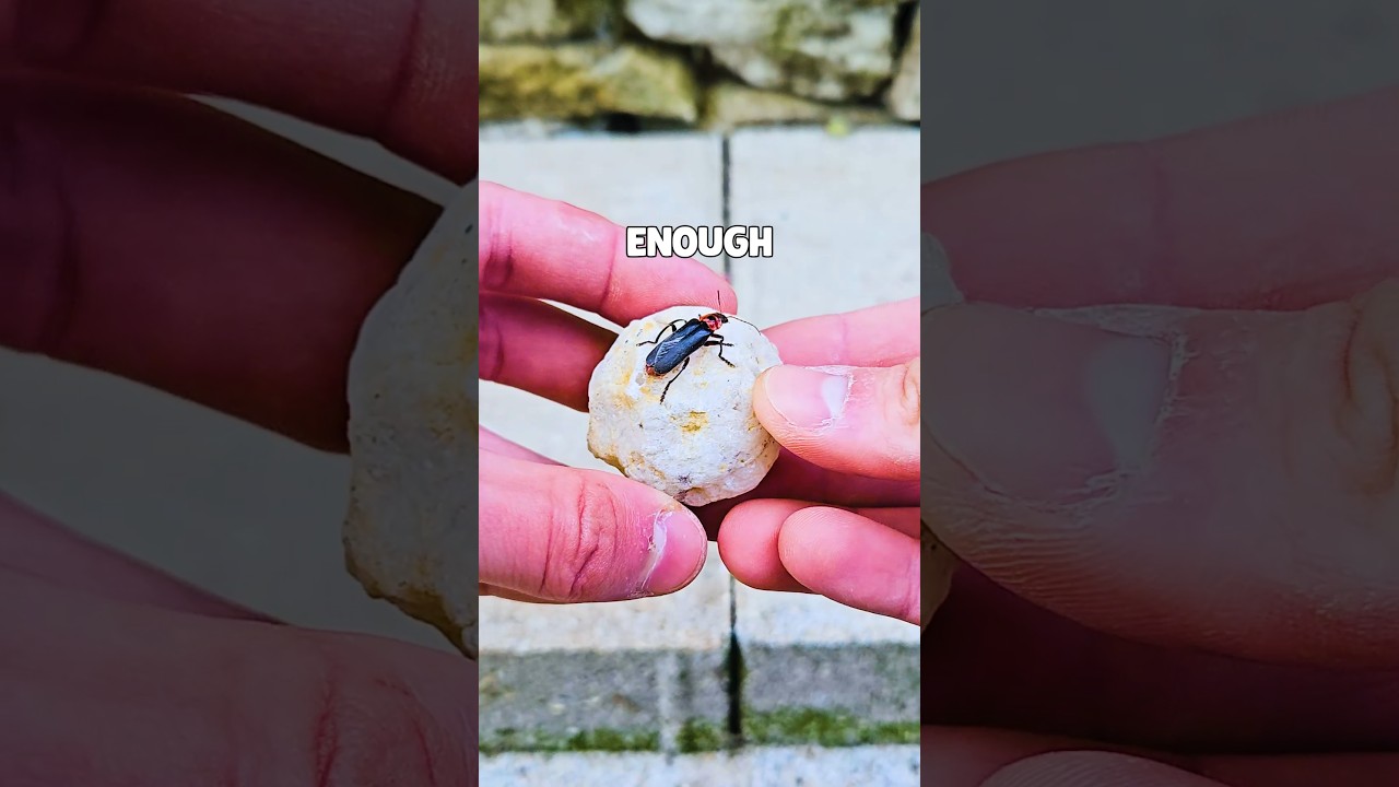 I Bought a Geode From Temu