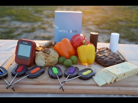 Intelitopia TempMeter CT6R Smart Wireless Cooking Thermometer with Stainless Steel Probes