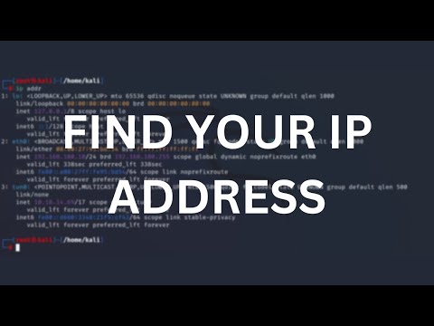 Find IP address using the Linux terminal