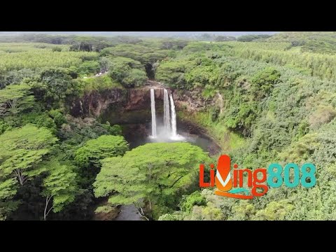 Spotlight on Innovation and Hospitality: 5th Annual Hawai‘i Hotel & Restaurant Show Returns