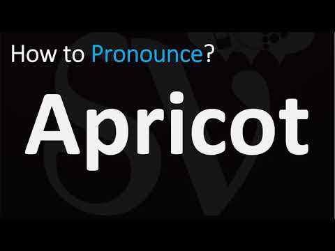 How to Pronounce Apricot? (CORRECTLY)
