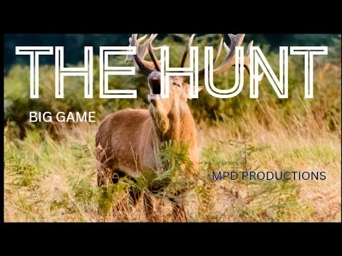 THE HUNT # BIG GAME