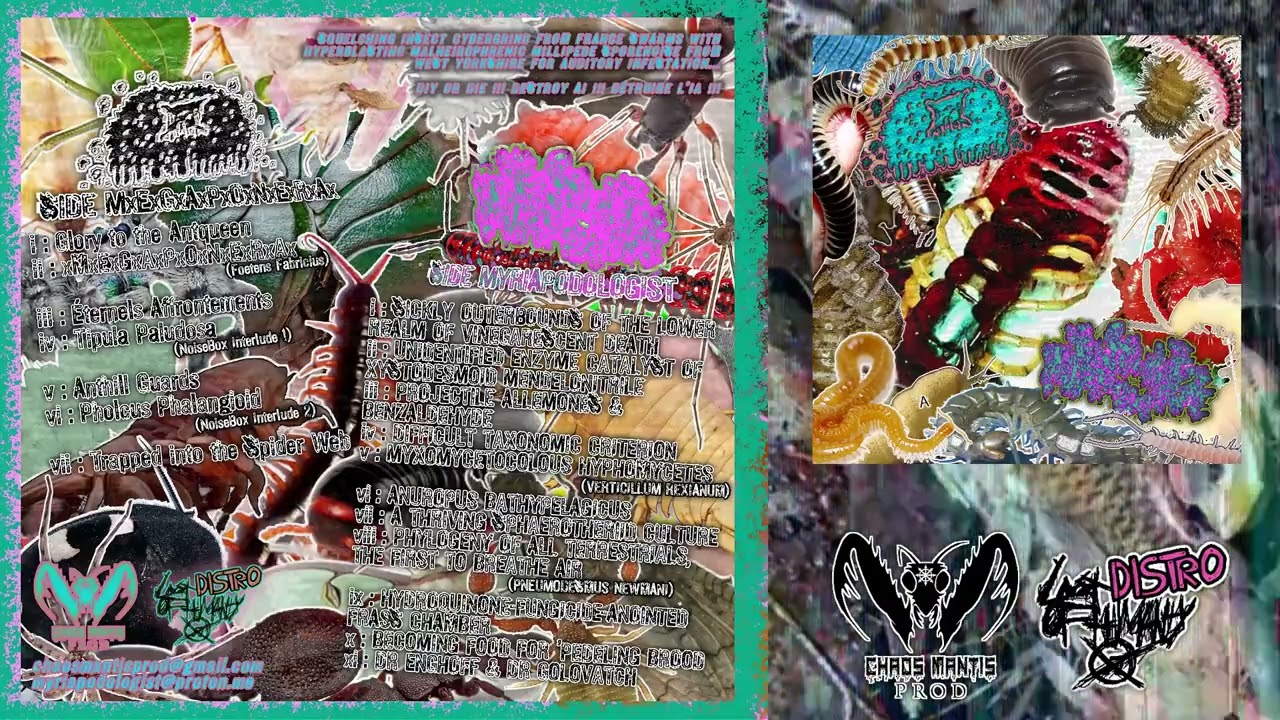 xMxExGxAxPxOxNxExRxAx X MYRIAPODOLOGIST SPLIT (GoreNoise)