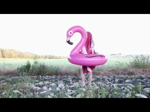 KörperTier – DEBORAH GEPPERT