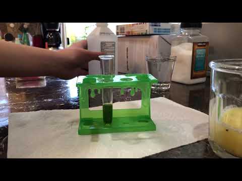 DNA Extract from Kiwi and Spinach